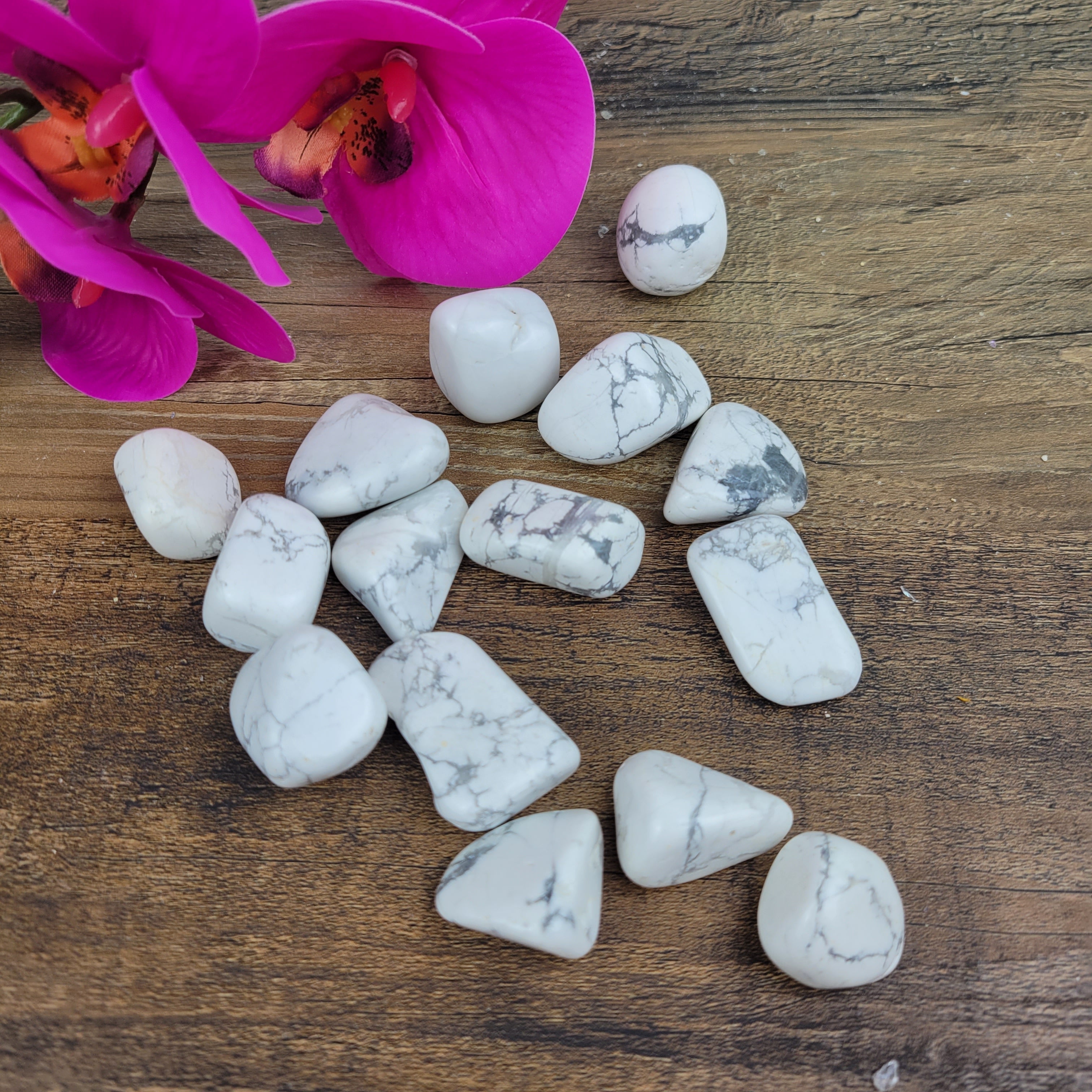 Crystal Joys Howlite Tumbled Stone – 1" Smooth White Gemstone with Gray ...