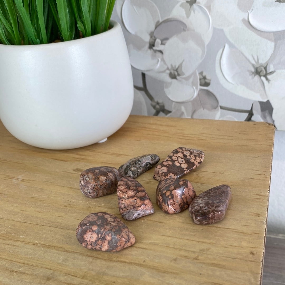 Crystal Joys Leopard Skin Jasper Tumbled Stones - Natural Gemstone, 1-2 ...