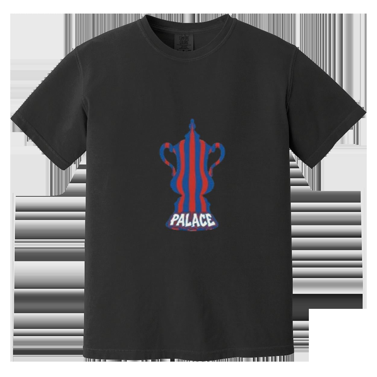 Crystal Palace FA Cup Winners 25 Footy Comfort Color T-Shirt, for men ...