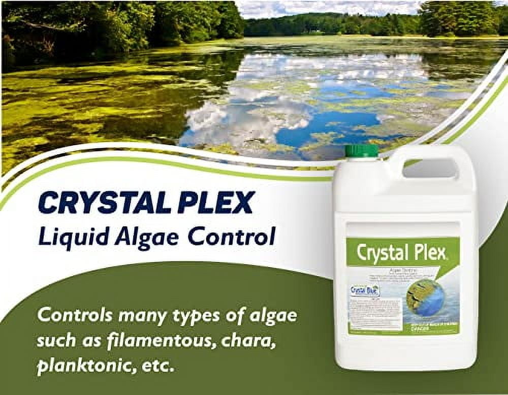 Crystal Plex - Lake and Pond Algaecide Treatment - Liquid Copper ...