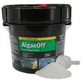 Winston EPA Registered Granular Algaecide, String Algae Remover, 25 Lbs ...