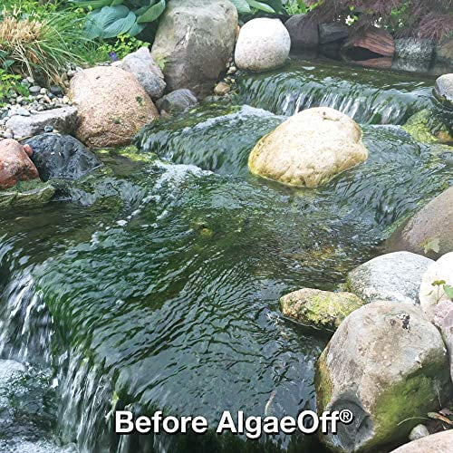 CrystalClear AlgaeOff Pond Algae Control Treatment, for Cleaner ...