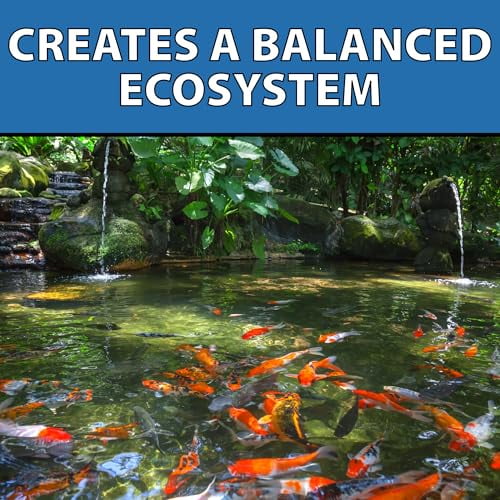 CrystalClear Barley Extract Water Garden & Fountain Clarifier, Natural ...