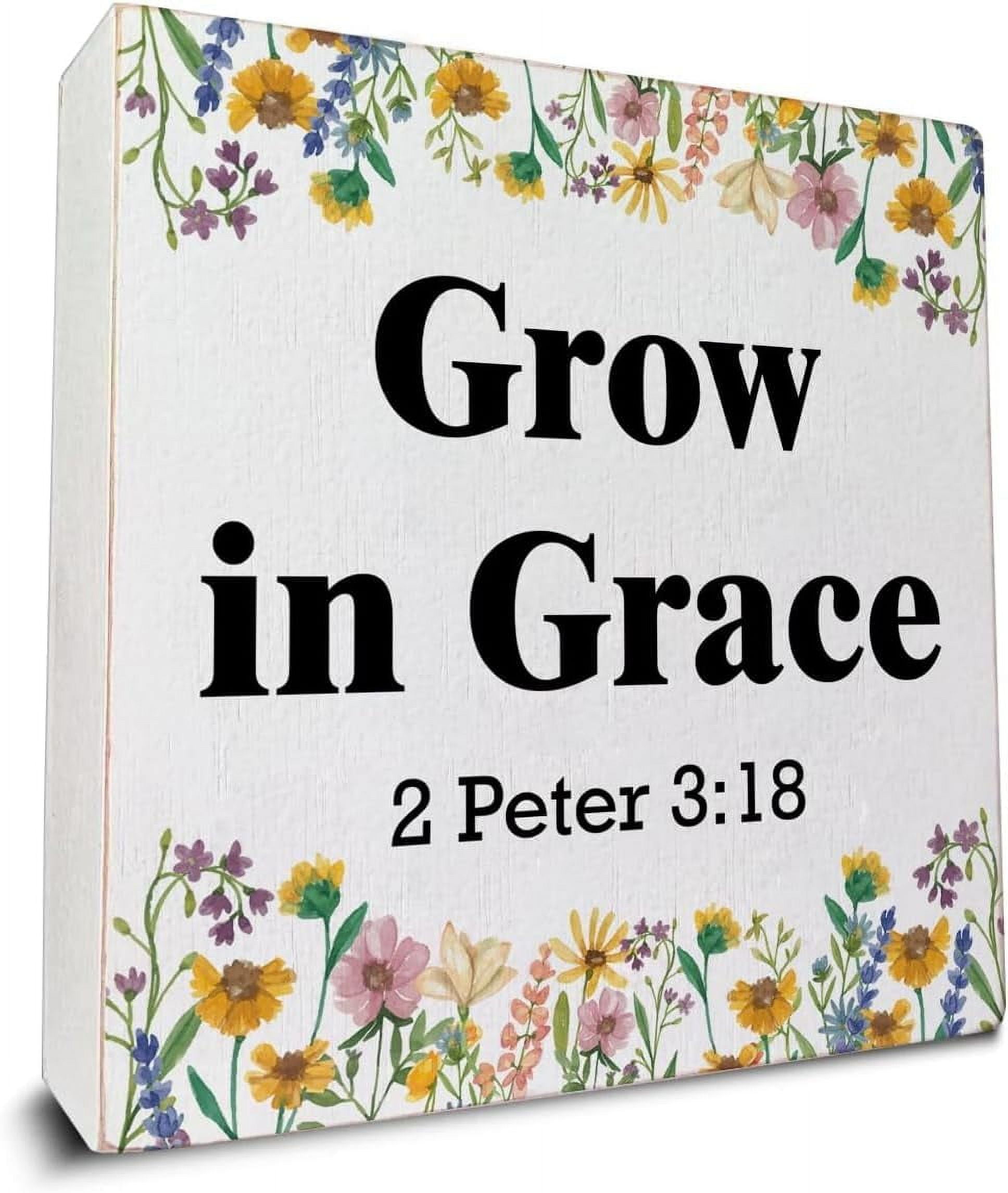 Cskhip Christian Decor Christian Desk Decor Grow in Grace Bible Verse ...