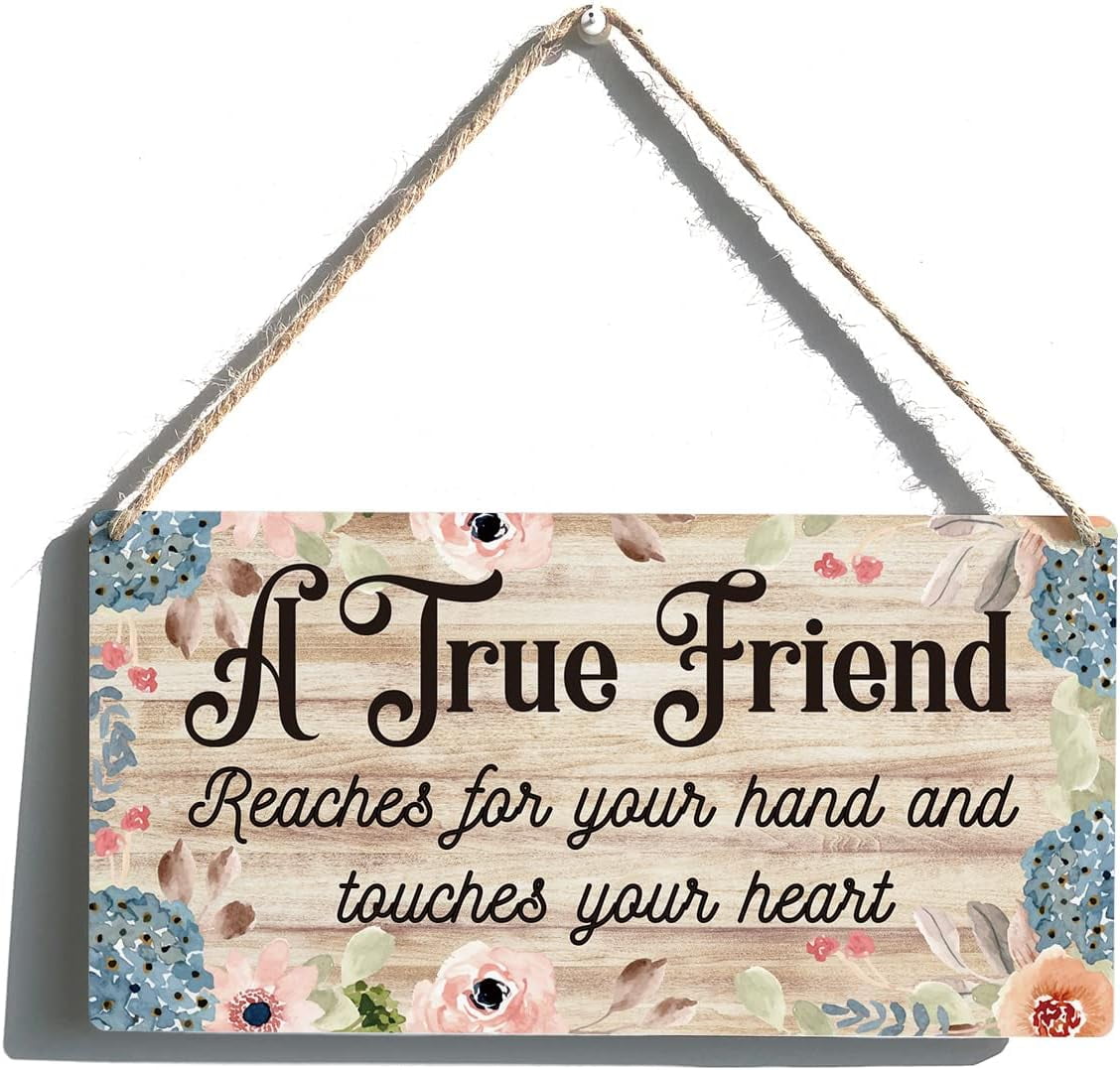 Cskhip Funny Farmhouse Friendship Signs Wood Signs a True Friend ...
