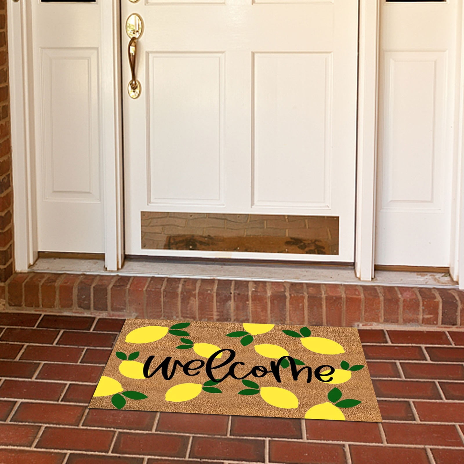 Ctnporpo Decorative Door Mat Bathroom Welcome Mat Door Mat Floor Mat ...