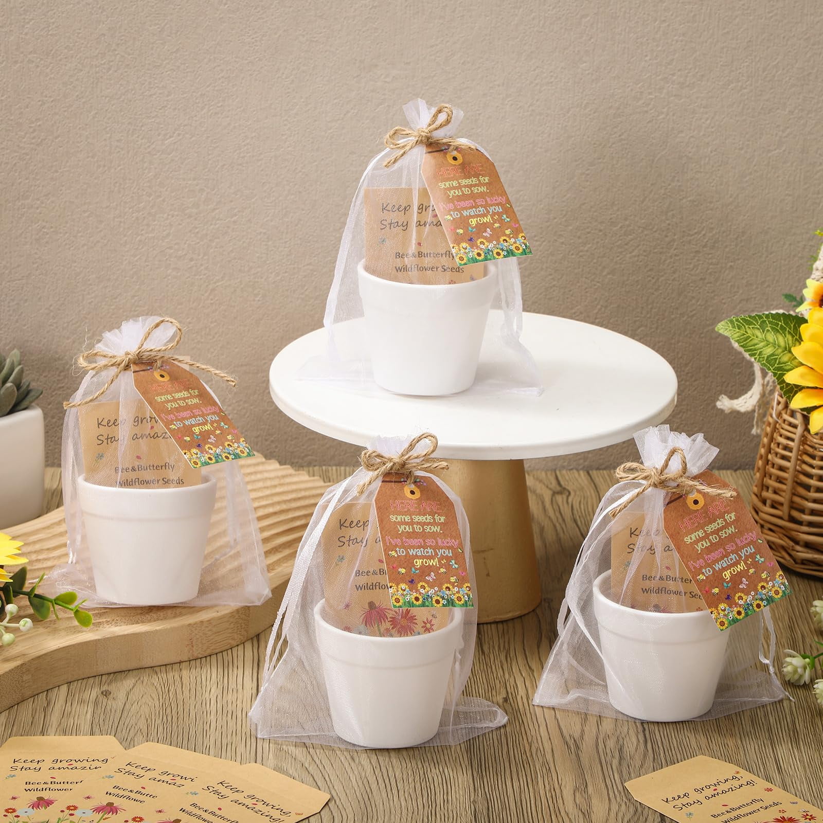 Ctosree 48 Sets End of Year Gifts H2FSDto from Teacher Wildflower Seed ...