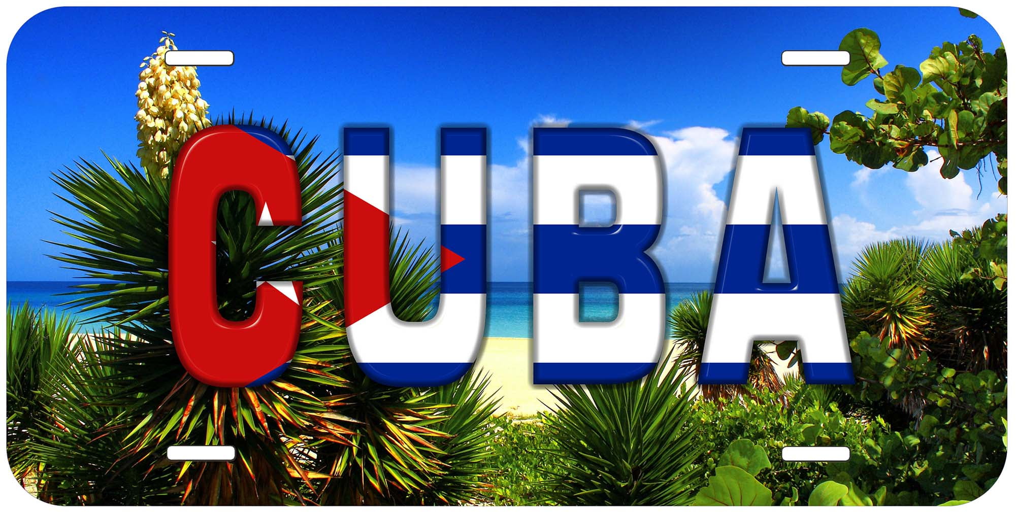 Cuba License Plate
