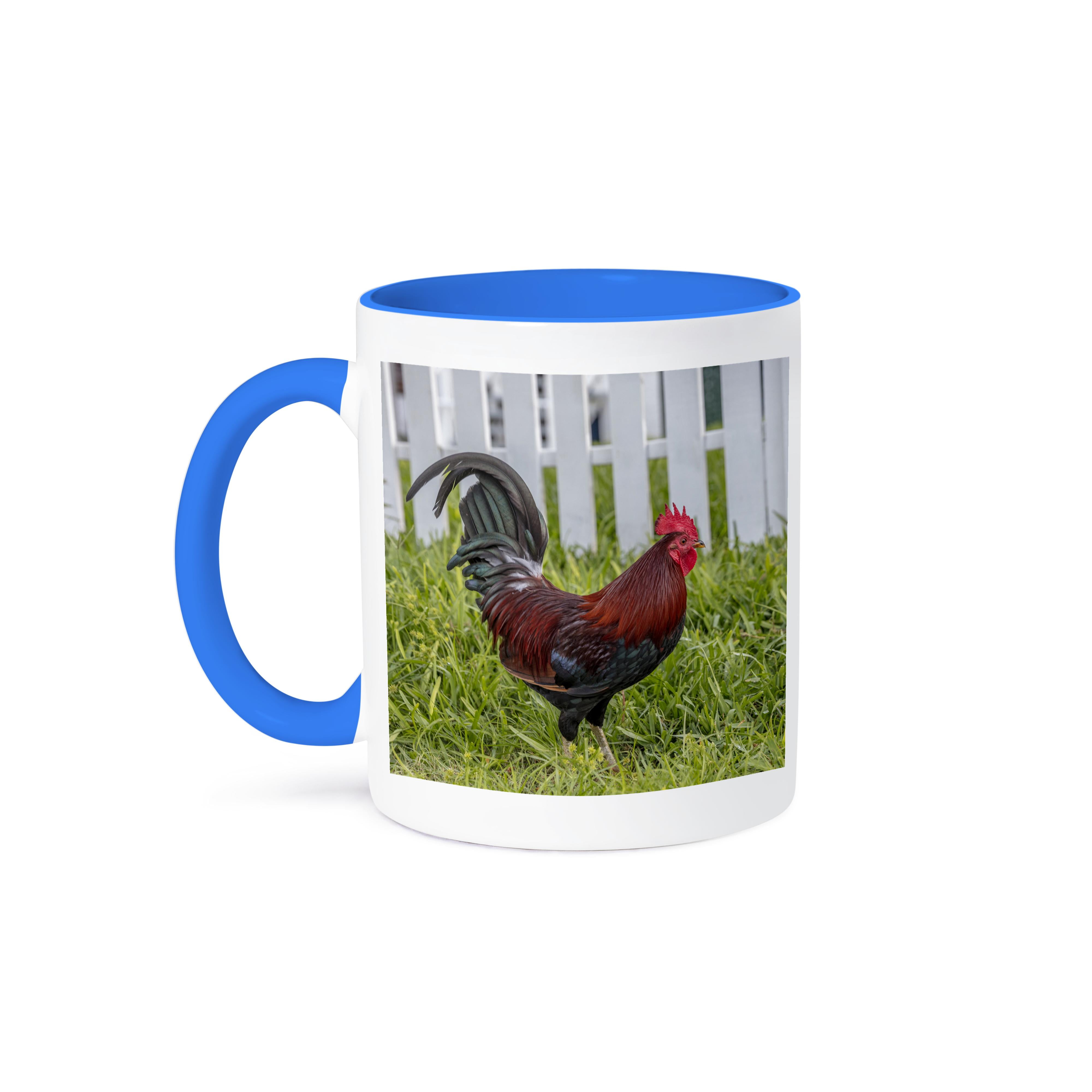 Cubalaya Gypsy Rooster In Key West, Florida, Usa., 15oz Two-Tone Blue Mug - Walmart.com