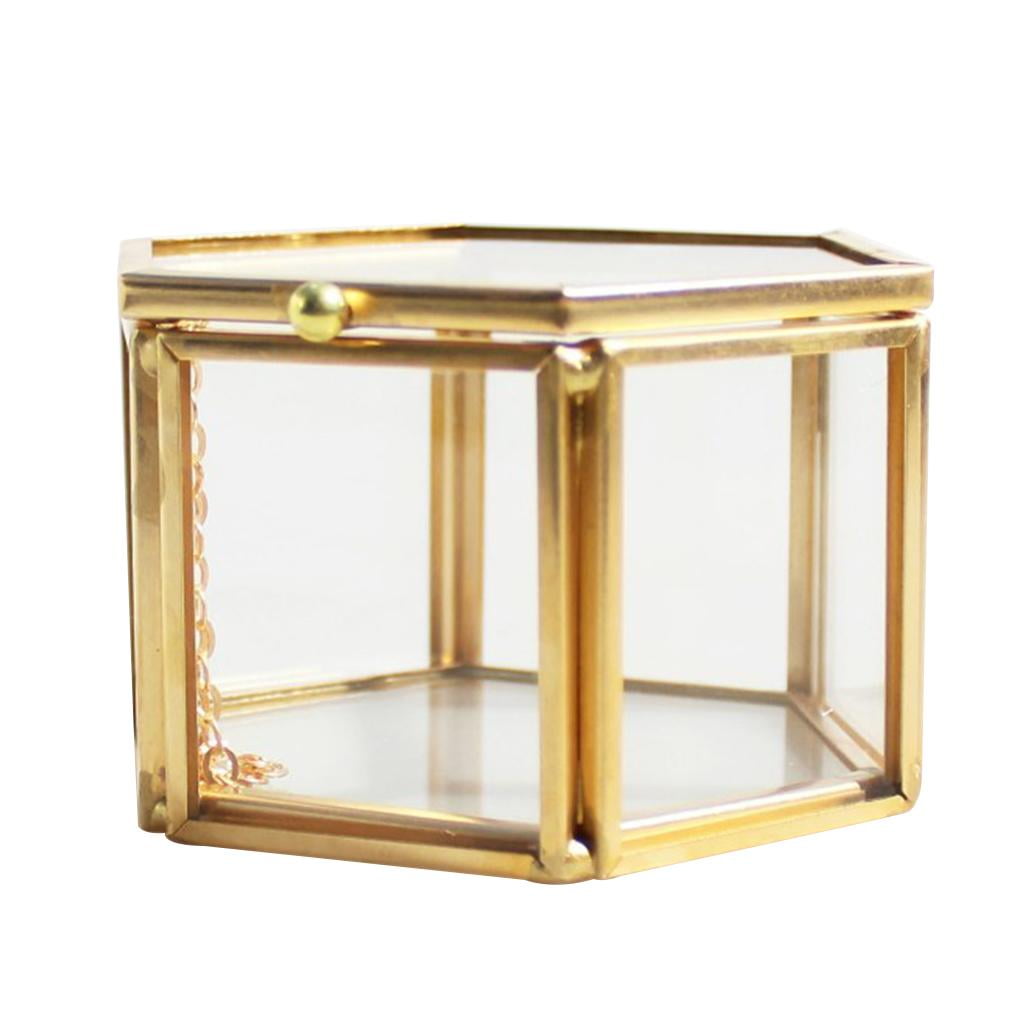 Cube Hexagon Clear Geometric Terrarium Fern Box Pot Container Air ...