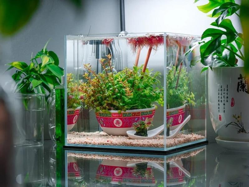 Cube Rimless Aquarium, High Quality Ultra Clear Seamless Glass Tank ...