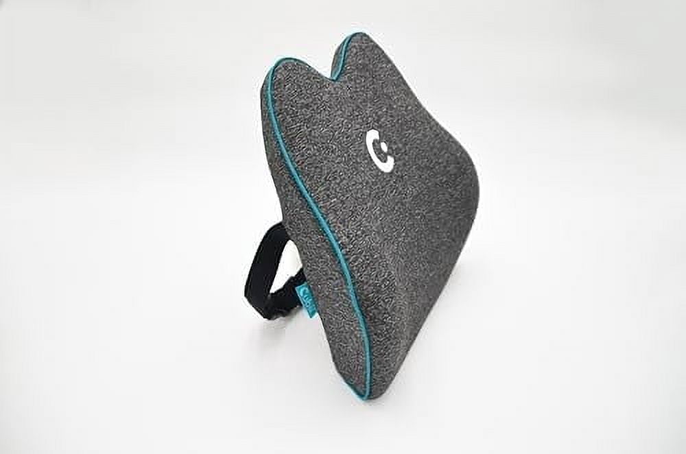 Cubii Cushii V2 Back Support Cushion for Back and Lower Back Pain ...