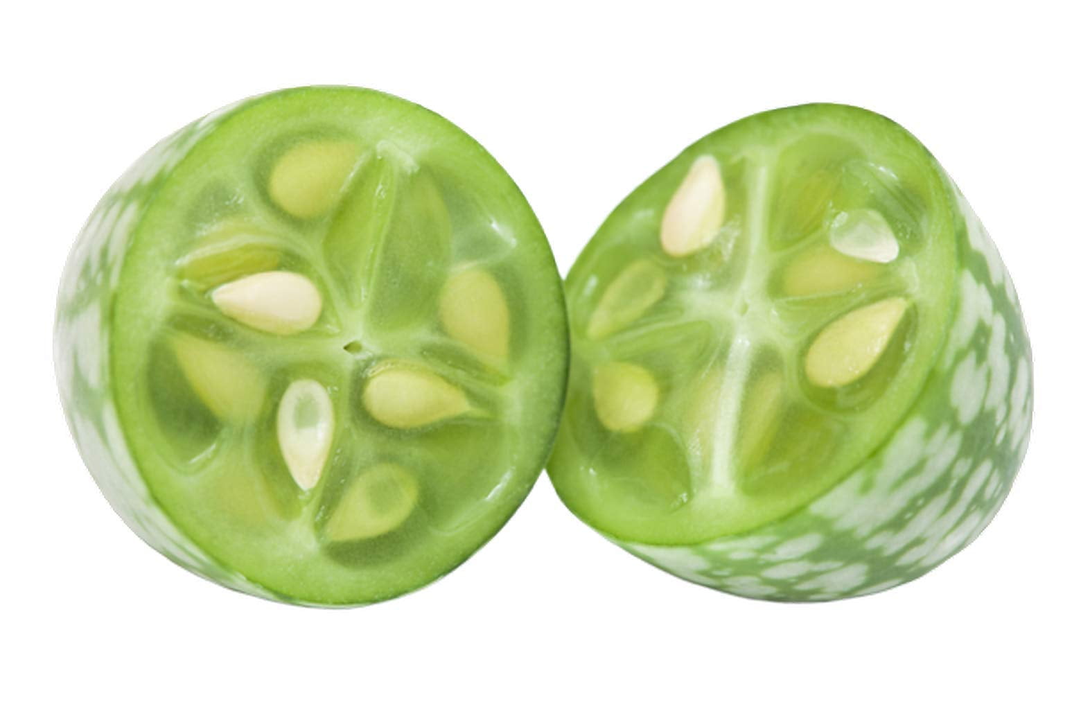 Cucamelon 20 Seeds - Mouse Melon, Melothria Scabra Mini Cucumber ...