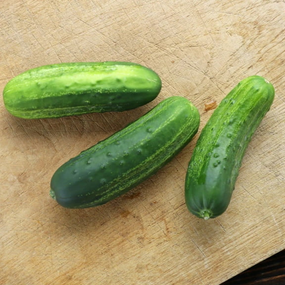 Seedless Cucumber Varieties