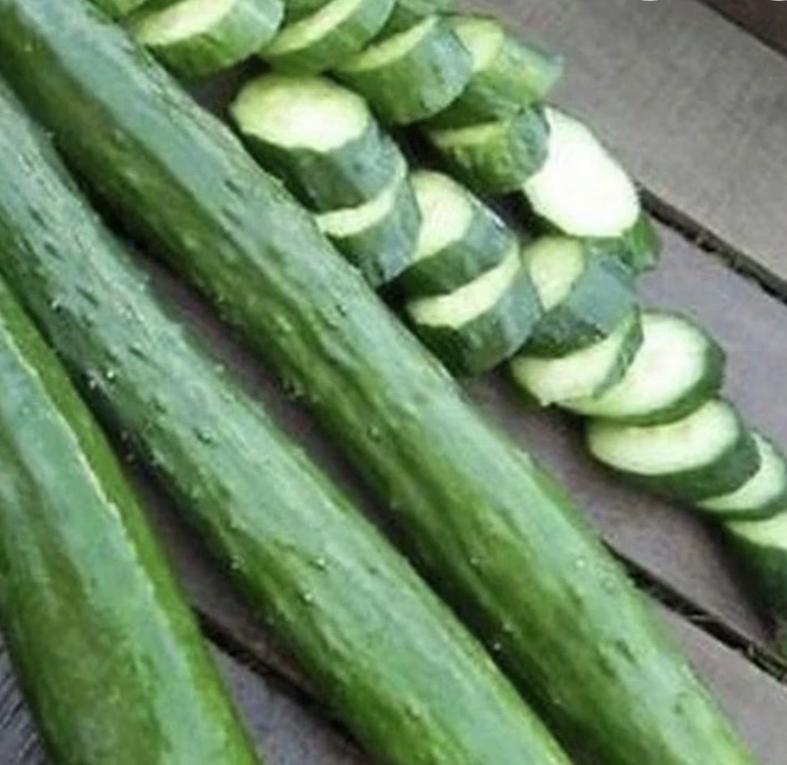 Cucumber Garden Sweet Burpless 3.5” pot - Walmart.com