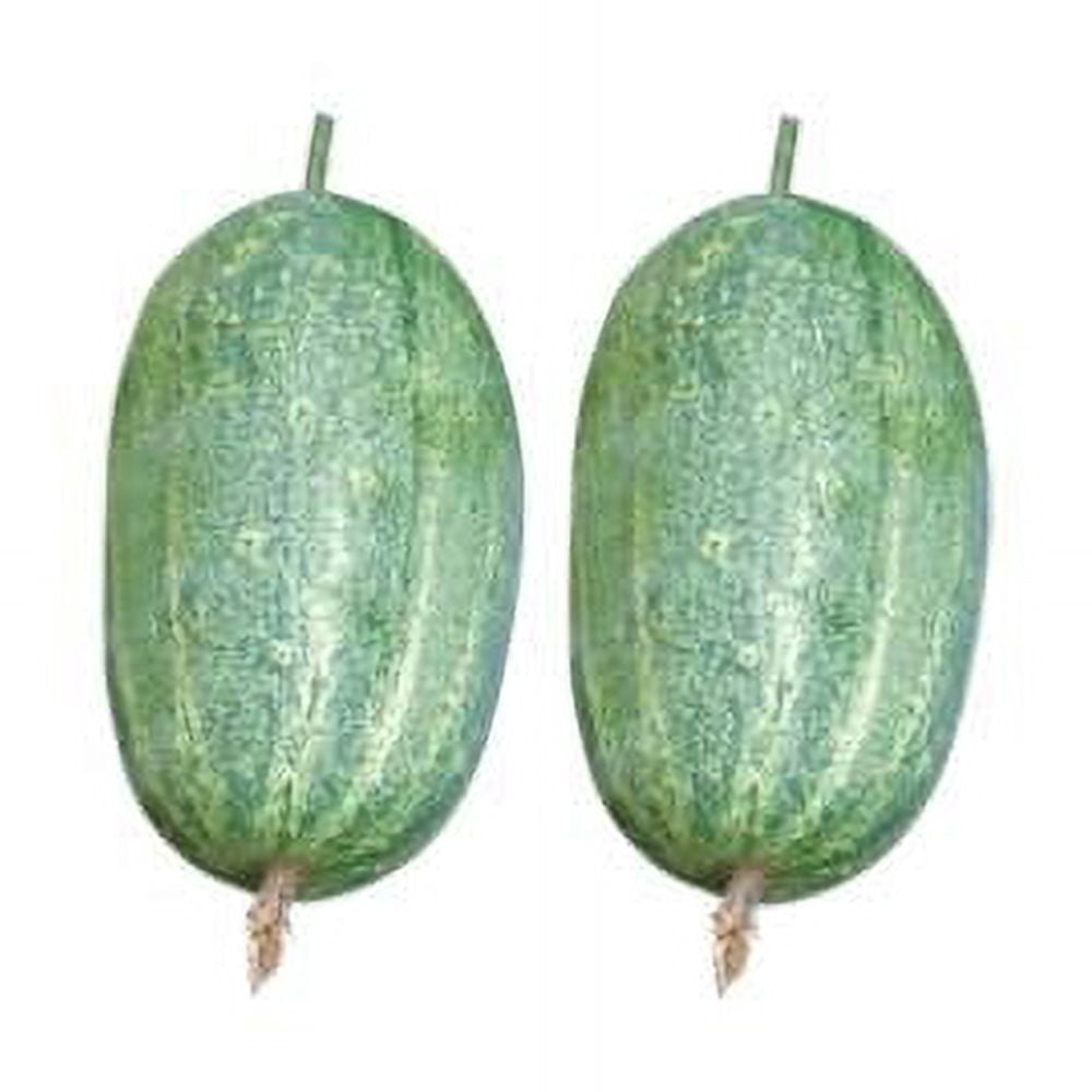 Cucumber (Khira) - Naogan-5 Seeds for Planting - 20 Seeds - Walmart.com