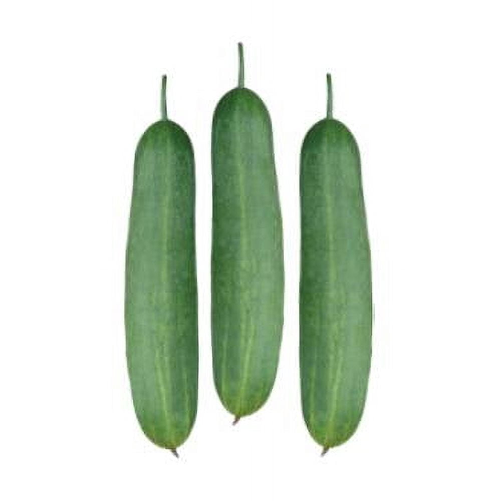 Cucumber - Mitali Long Green Seeds for Planting - 20 Seeds - Walmart.com