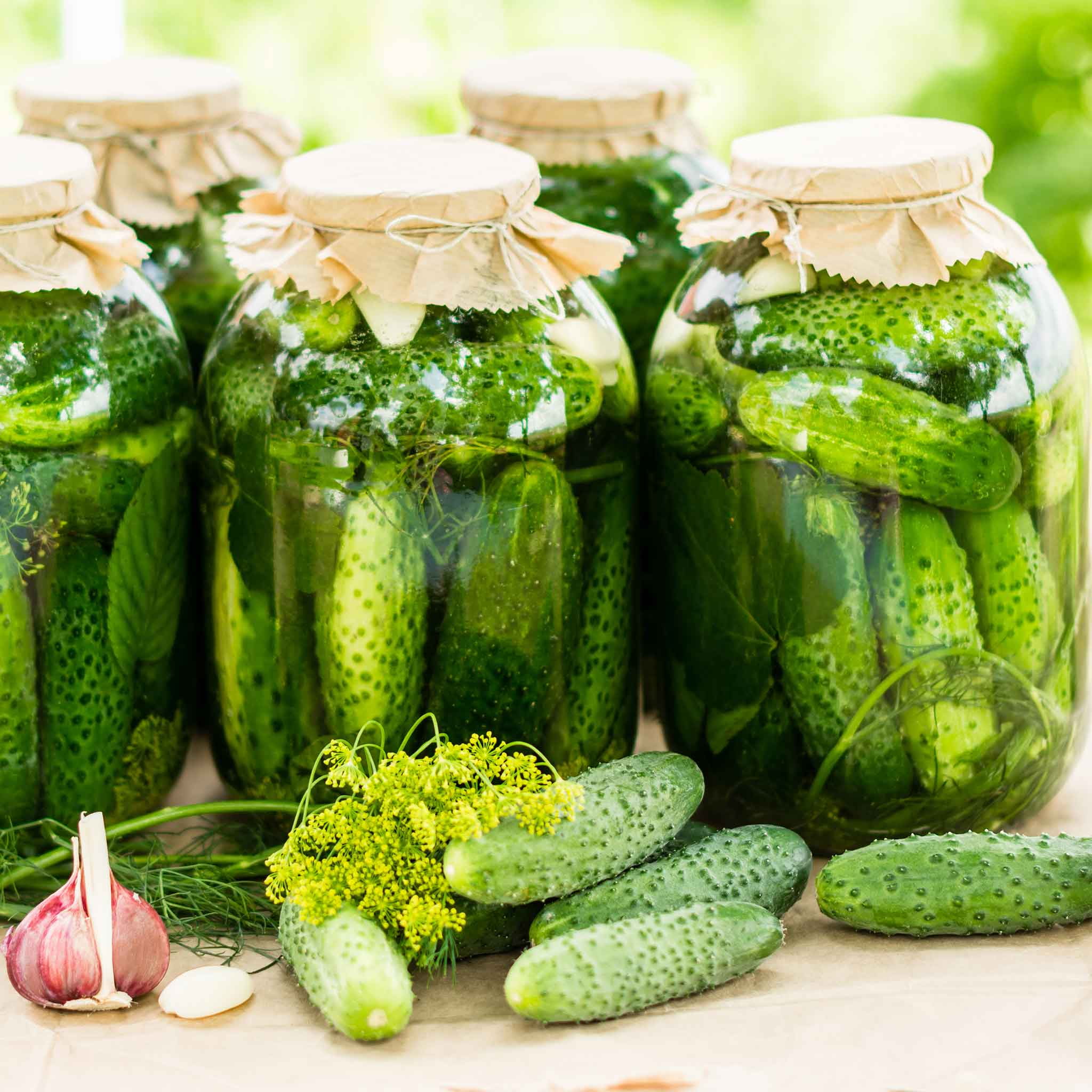 Eden Brothers Cucumber Seeds (Organic) - Homemade Pickles - Walmart.com