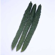 Indian Planting Large Pack - Nam Tao Ngam Gourd Seeds, Hybrid, Non-GMO ...