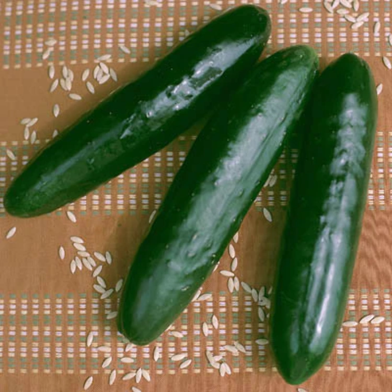Stonewall F1 High-Quality Cucumber Seeds for Fruit Gardening - Walmart.com