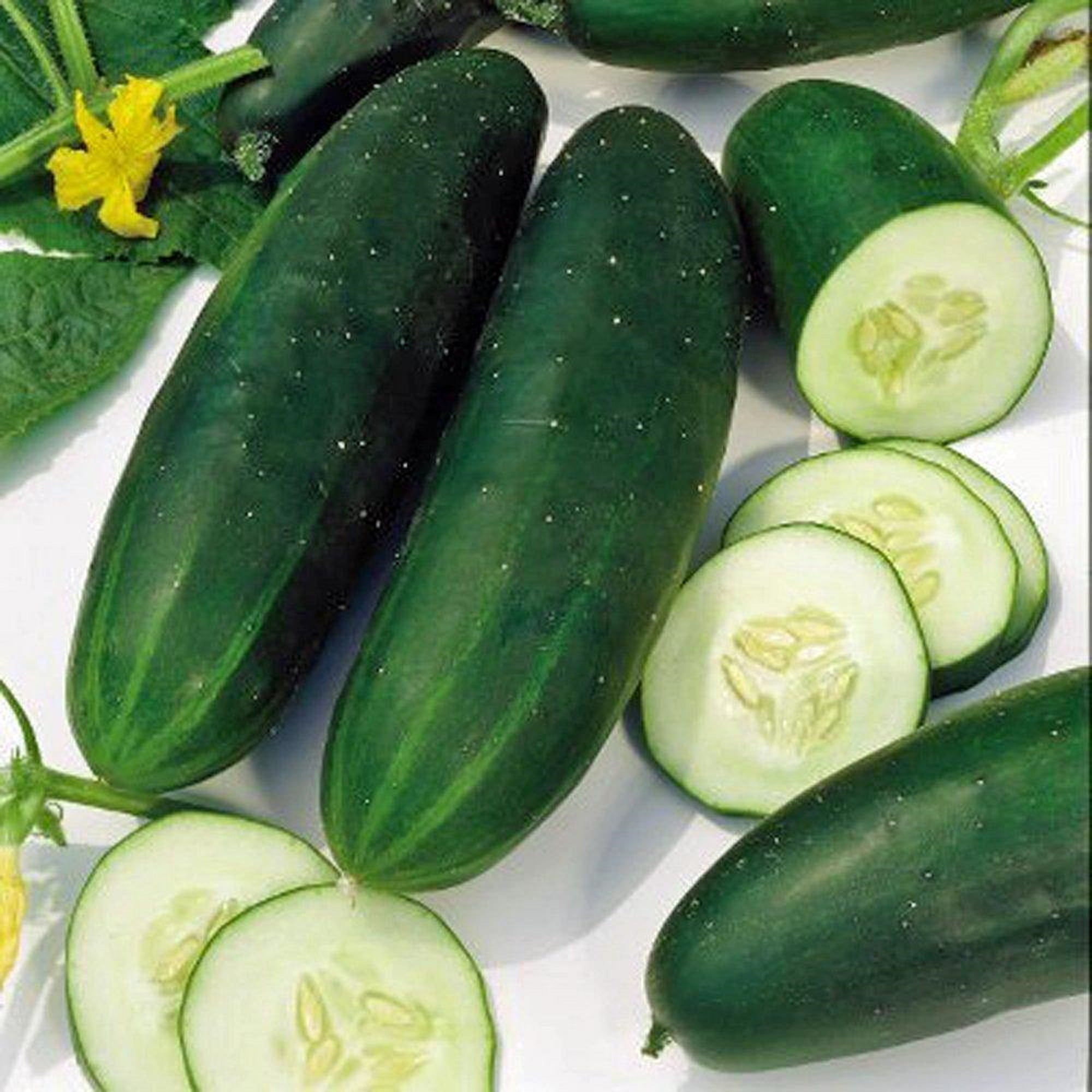 Cucumber, Straight Eight Cucumber Seeds, Heirloom, 200 Seeds, Great for ...