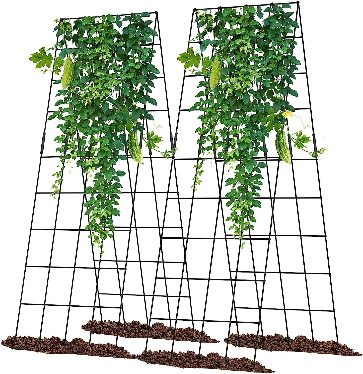 Cucumber Trellis 2 Pack, 59" H Foldable A-Frame Garden Trellis with ...