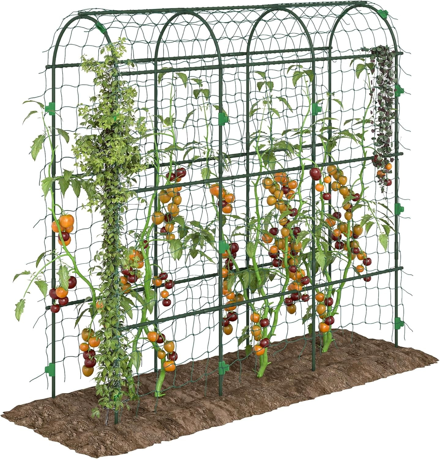 Cucumber Trellis, 6' Tall Arch Trellis for Climbing Plants Outdoor, A ...