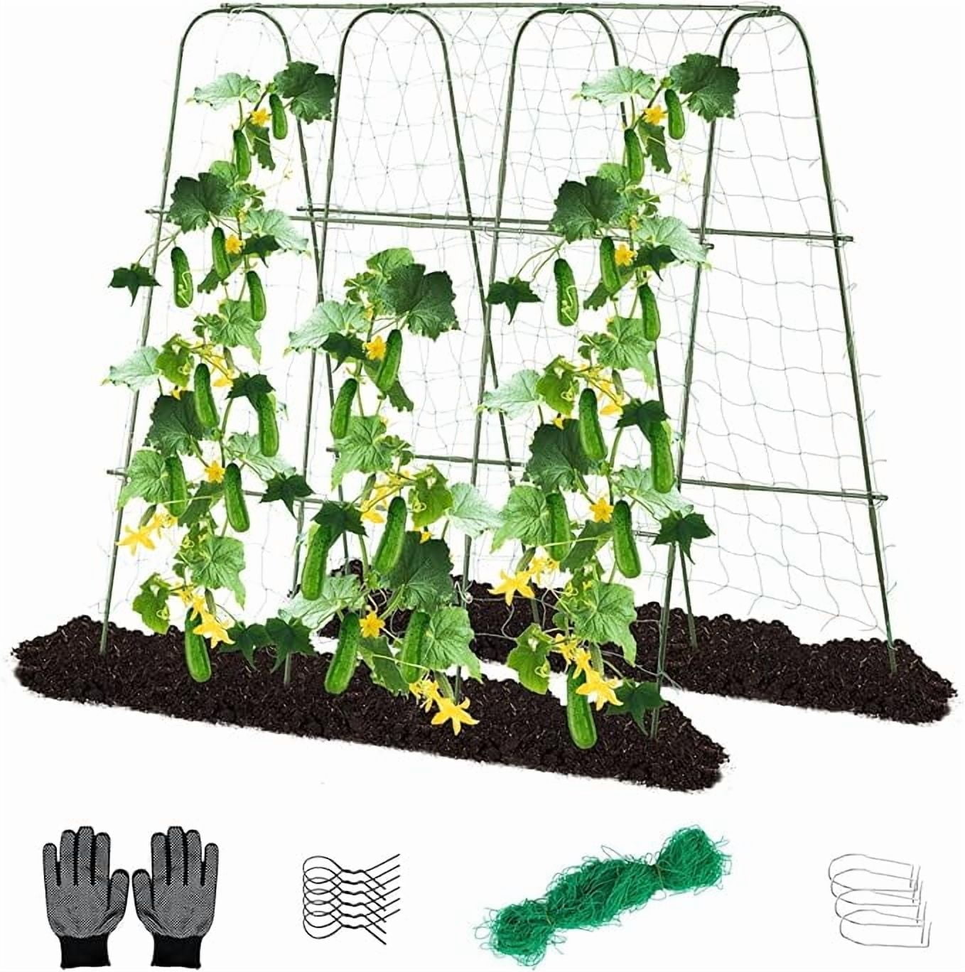 Cucumber Trellis, 65" X 65" Metal Garden Arch Trellis Climbing Plant ...