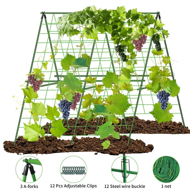 48x48In A-Frame Garden Trellis for Climbing Plants, Cucumber ...