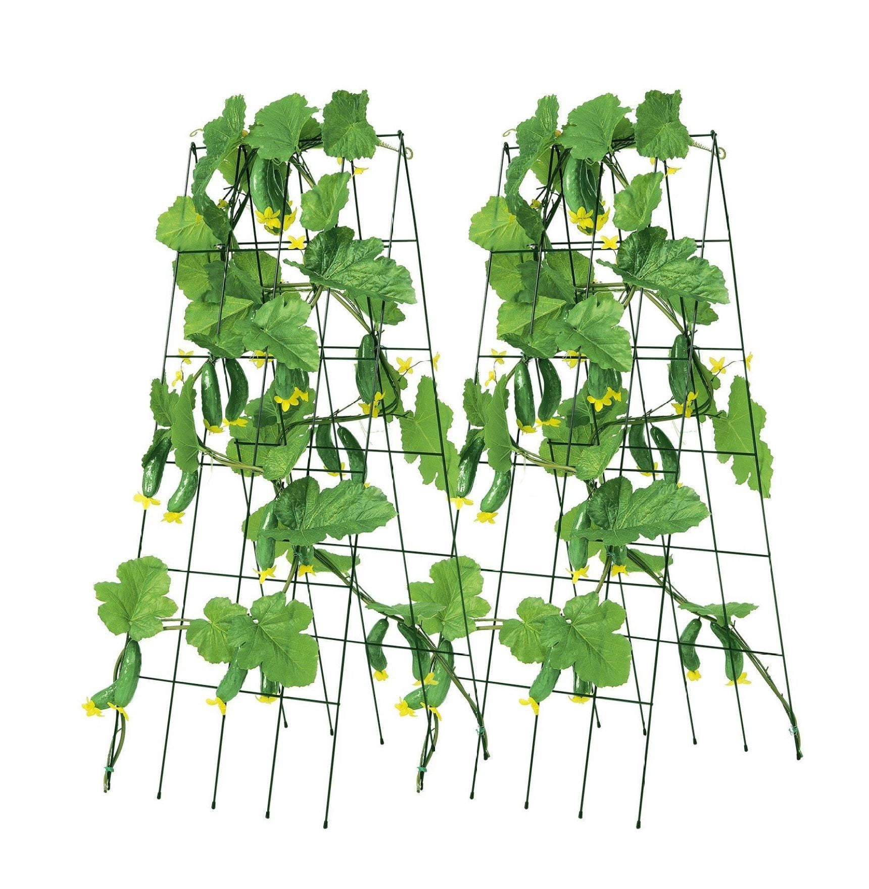 Cucumber Trellis for Climbing Plants, 39" x 32" A-Frame, Metal Garden ...