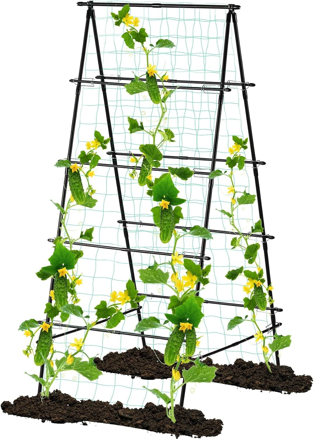 Cucumber Trellis for Climbing Plants，A Frame for Garden Plant Trellis ...