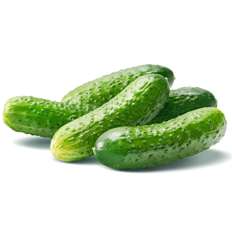 Cucumbers-Calypso F1 (100 TWE5 Seeds) - Walmart.com