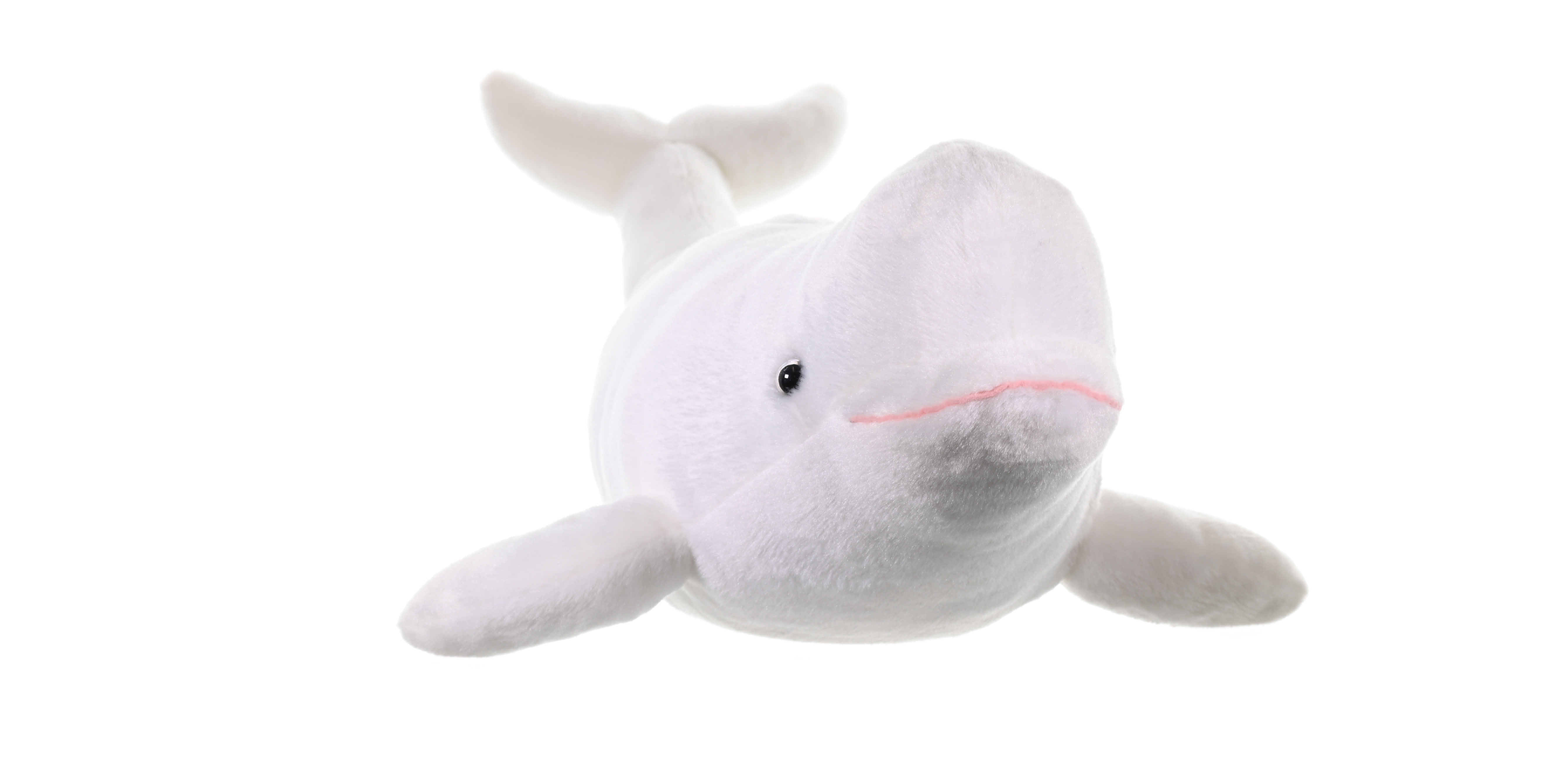 Cuddlekins Beluga Whale Plush Stuffed Animal by Wild Republic, Kid ...