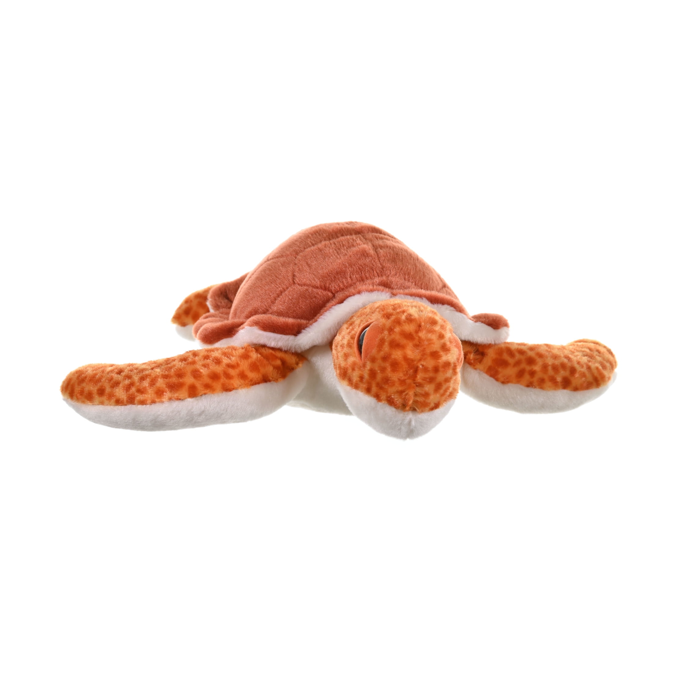 Cuddlekins Loggerhead Sea Turtle Plush Stuffed Animal by Wild Republic ...