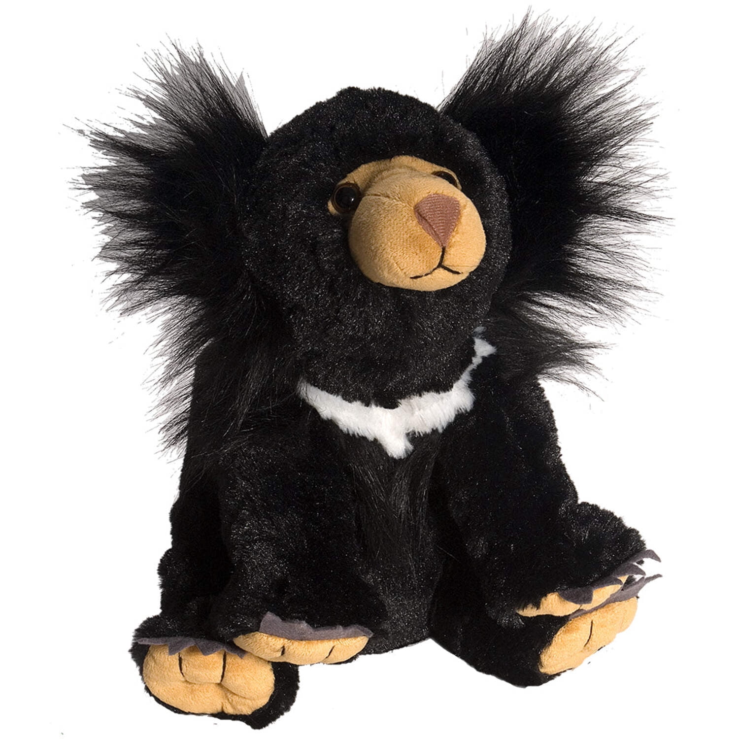 Sloth Bear
