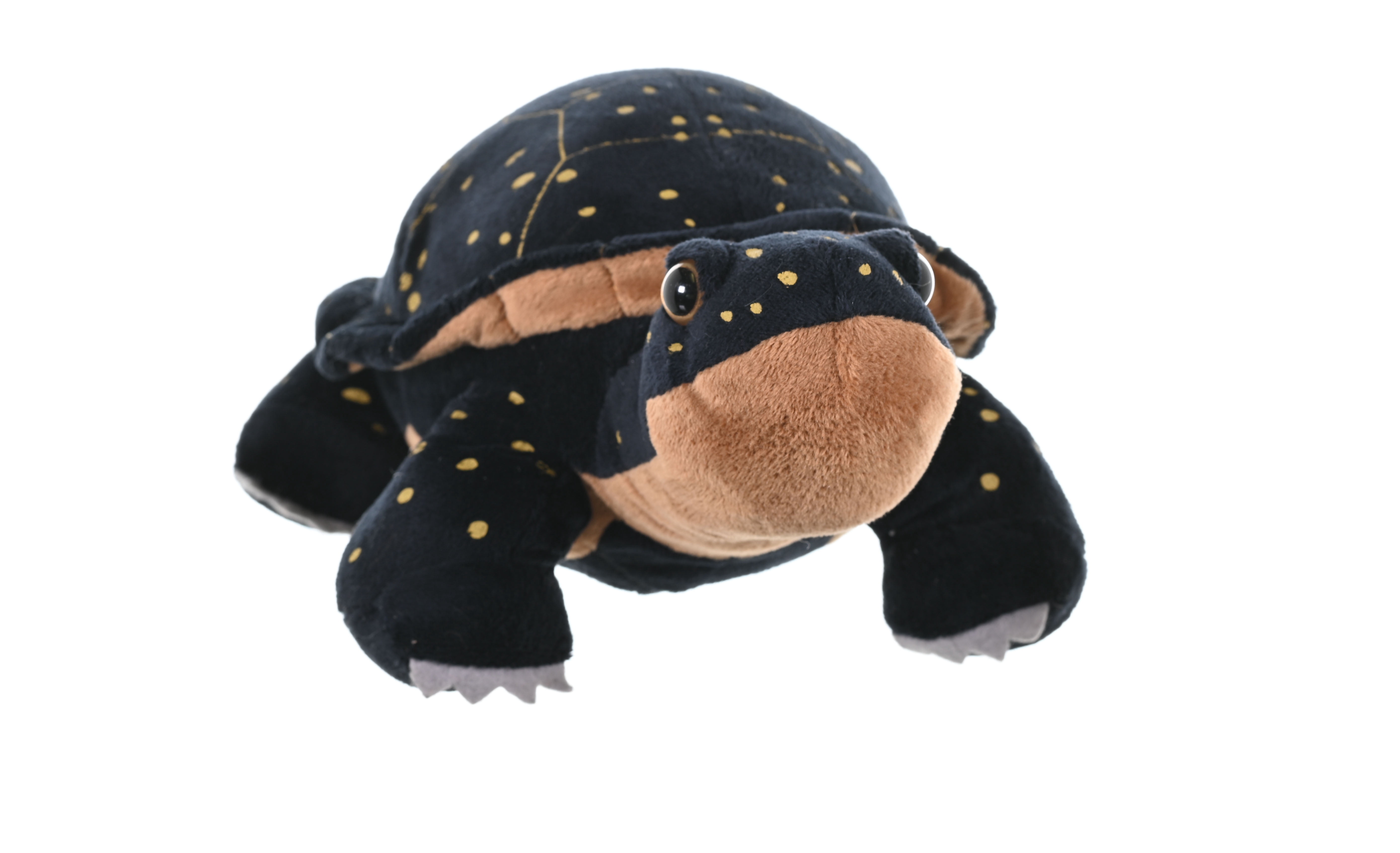 Wild Republic Spotted Turtle Plush, Stuffed Animal, Plush Toy, Gifts ...