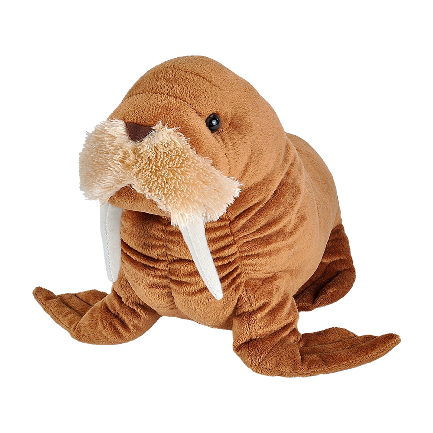 Cuddlekins Walrus Plush Stuffed Animal by Wild Republic, Kid Gifts, Zoo ...
