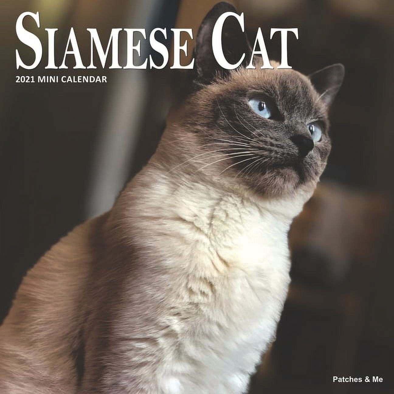 Cuddly Cats: Siamese Cat : 2021 Mini Calendar (Paperback) - Walmart.com