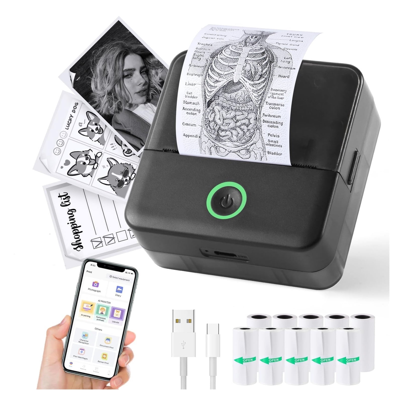 Mini Printer, Thermal Inkless Sticker Maker with 10 Rolls Printing ...