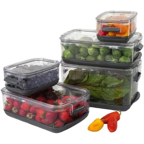 Progressive Prepworks ProKeeper 5-Piece Set: Airtight Food & Berry ...