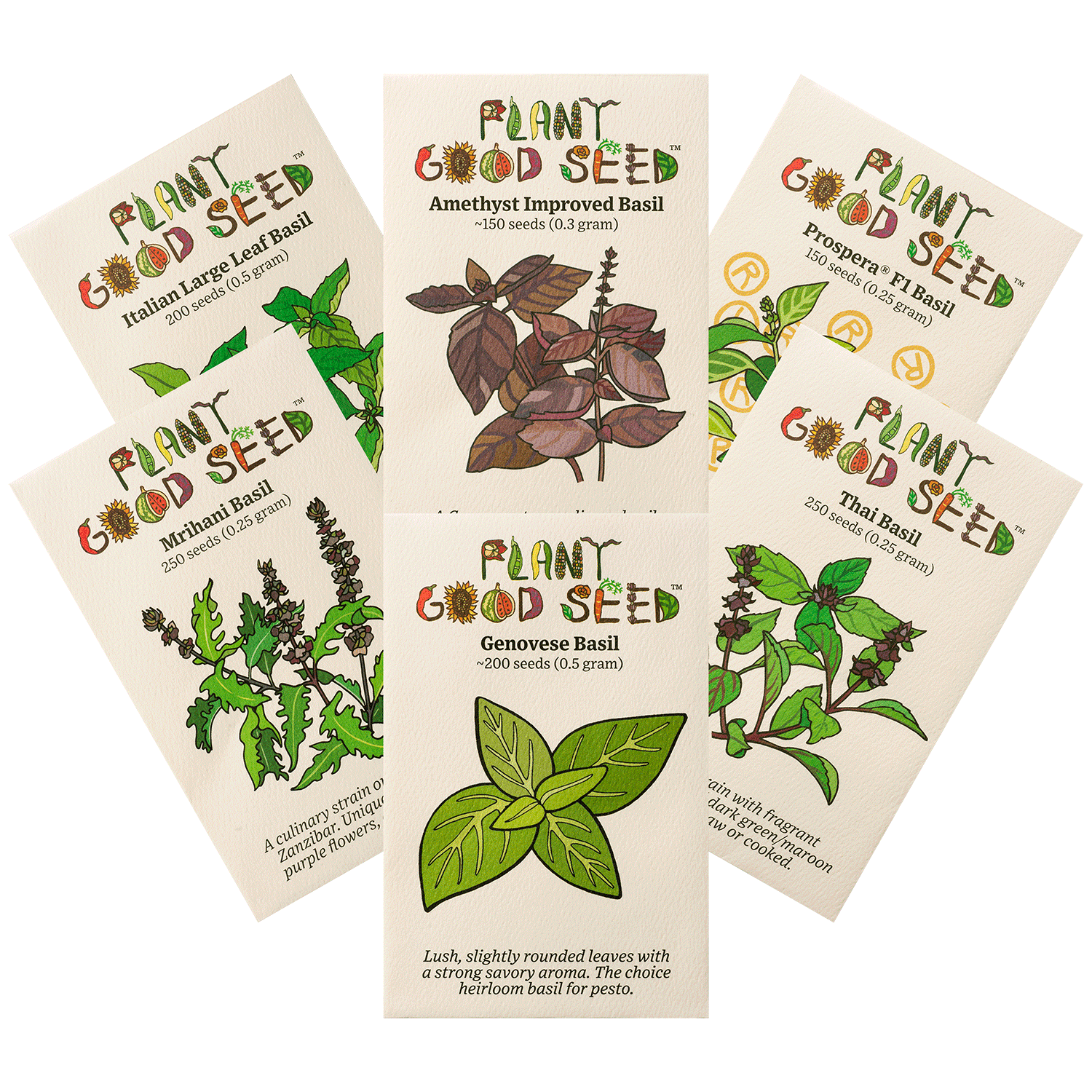 Plant Good Seed Culinary Basil Seeds - 7 Packet Collection - Heirloom ...