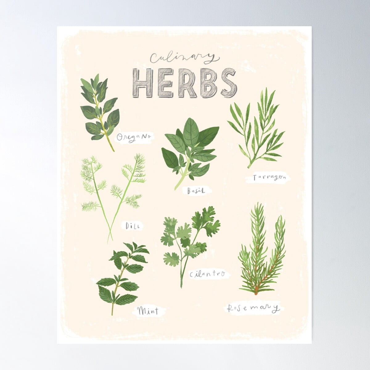 Culinary Herbs Poster, 12x18 UNFRAMED - Walmart.com