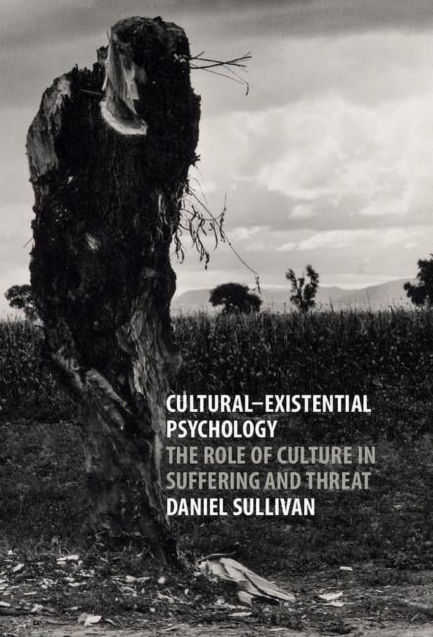 Cultural-Existential Psychology, (Hardcover) - Walmart.com