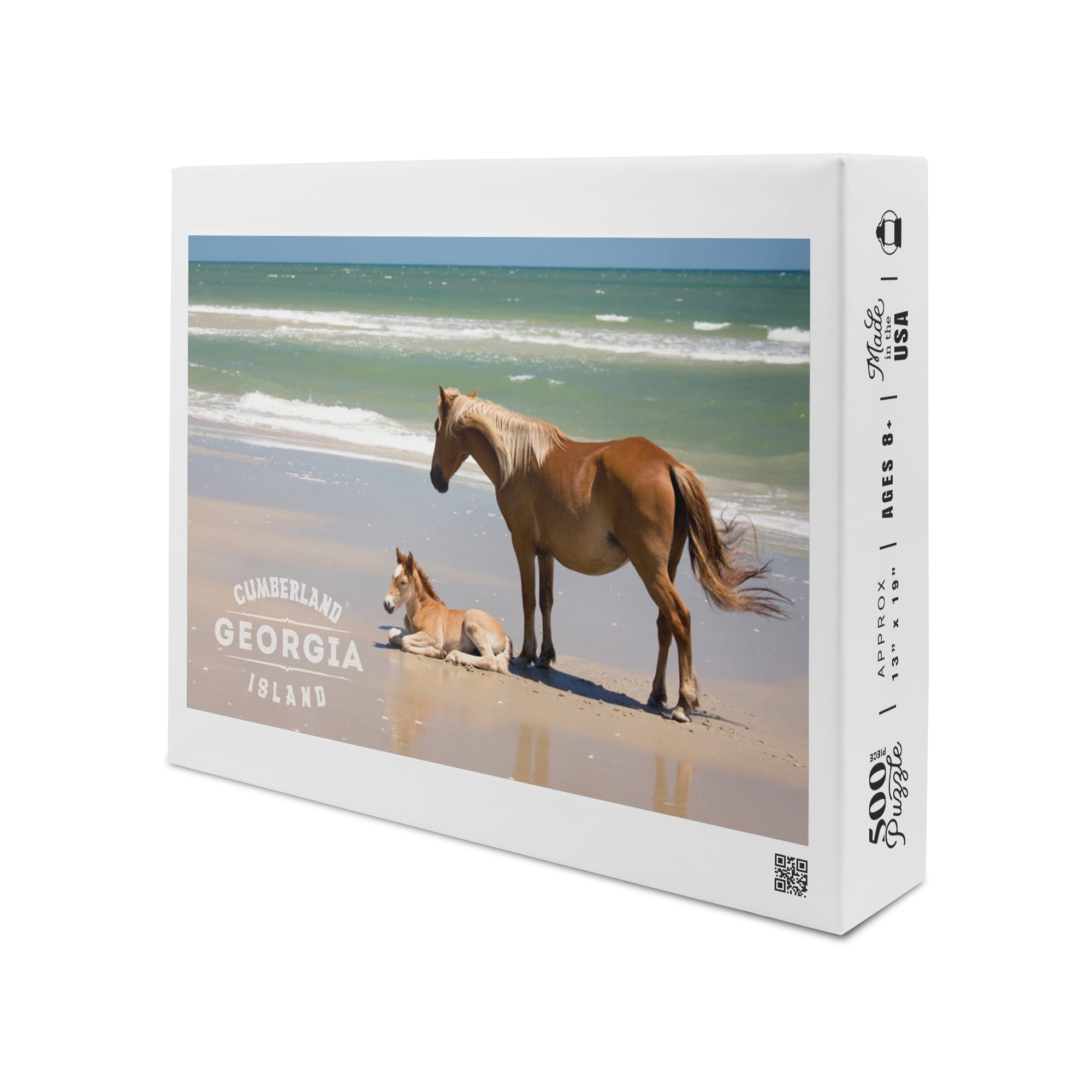 Cumberland Island, Georgia, Banker Pony and Foal on Beach (19x27 inches ...