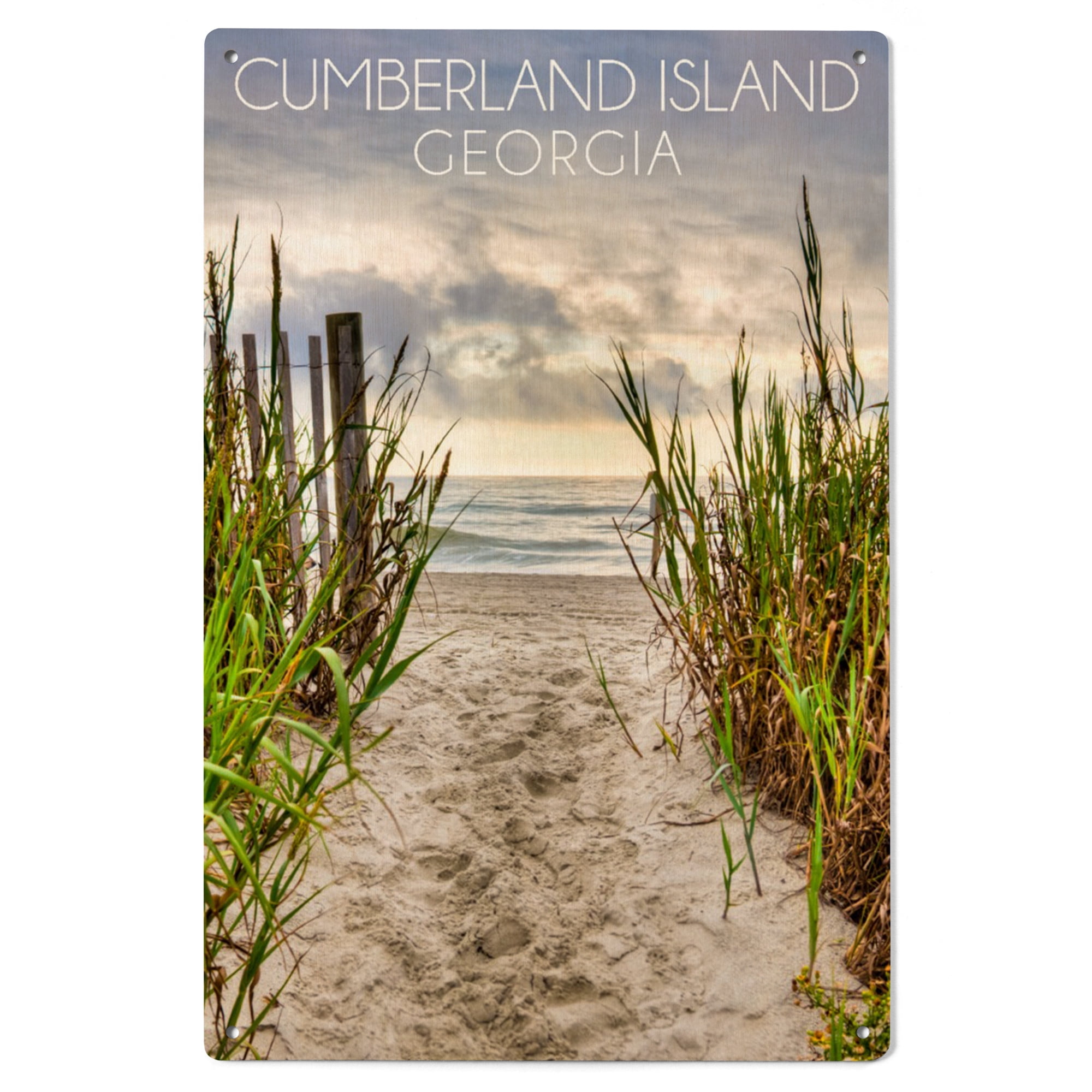 Cumberland Island, Georgia, Pathway to the Beach Birch Wood Wall Sign ...