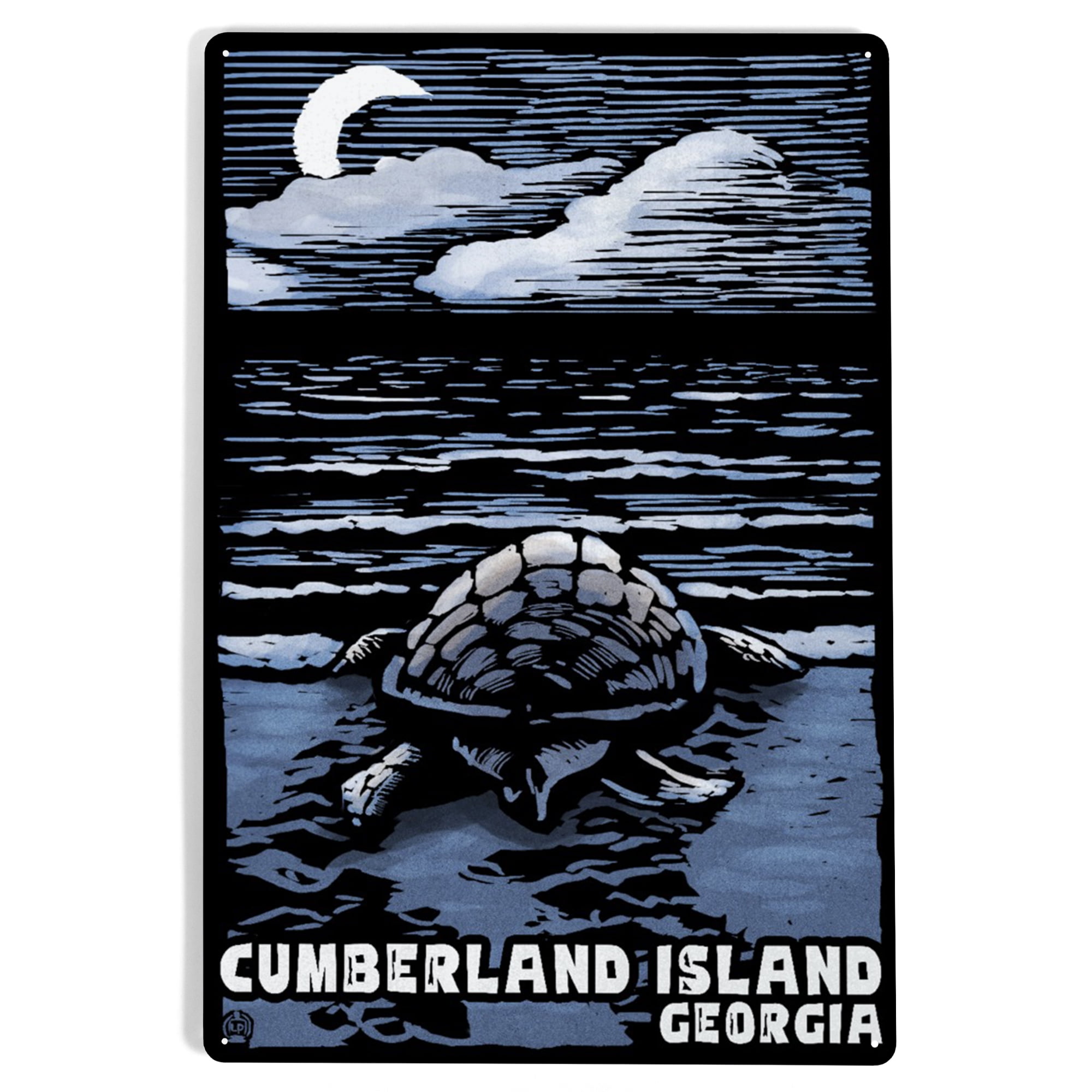 Cumberland Island, Georgia, Sea Turtle on Beach, Scratchboard (12x18 ...