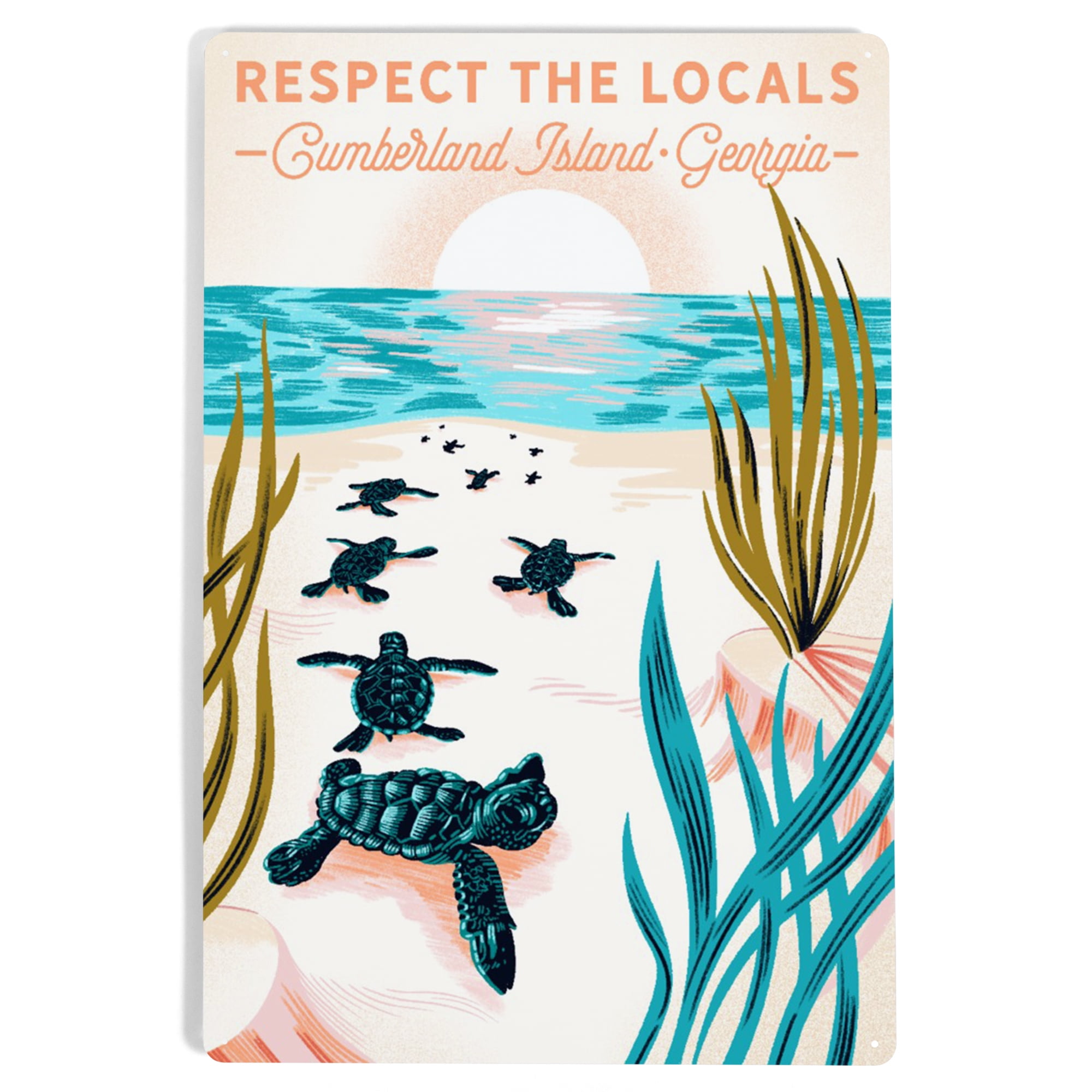 Cumberland Island, Georgia, Turtle, Respect the Locals (12x18 Aluminum ...