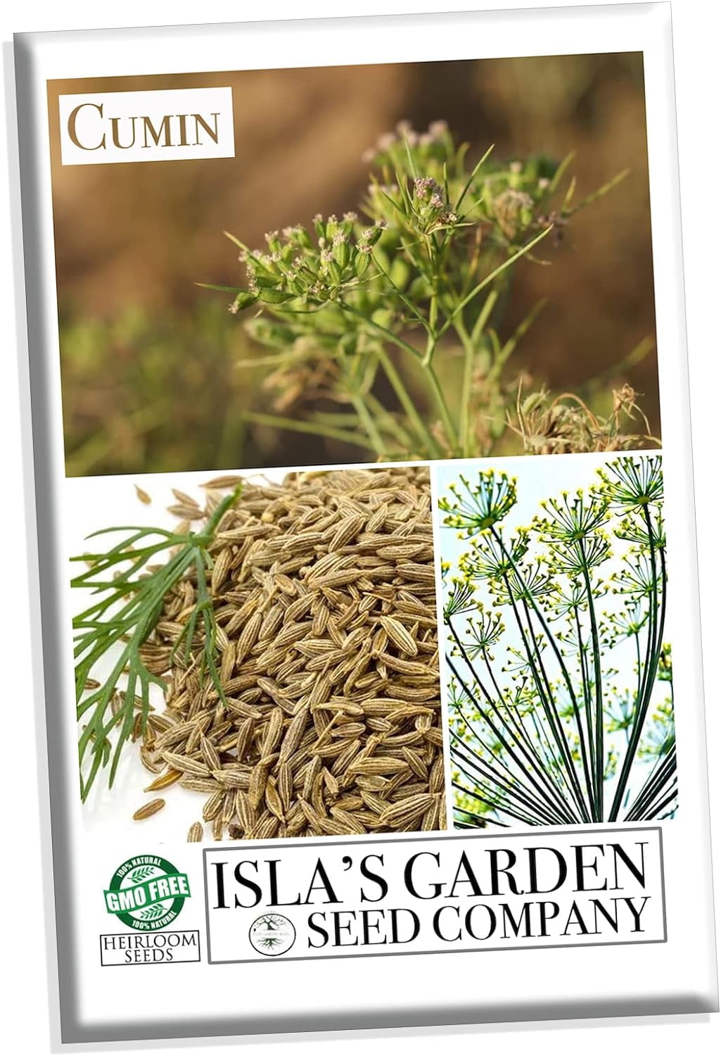 Cumin Herb Seeds, 300+ Heirloom Seeds Per Packet, Non GMO Seeds ...