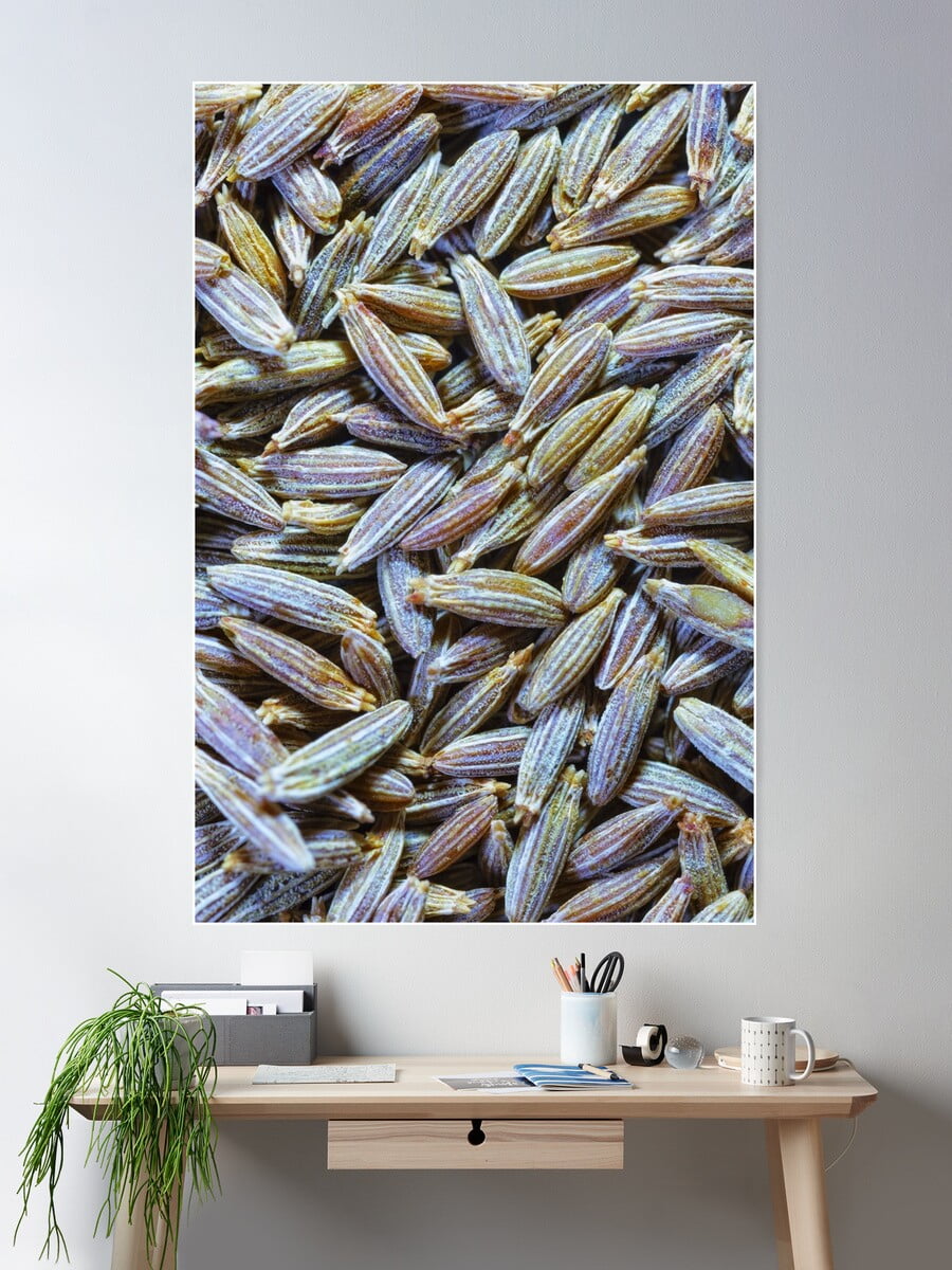 Cumin Seeds Poster Wall Art, Modern Wall Decor For Living Room Bedroom ...