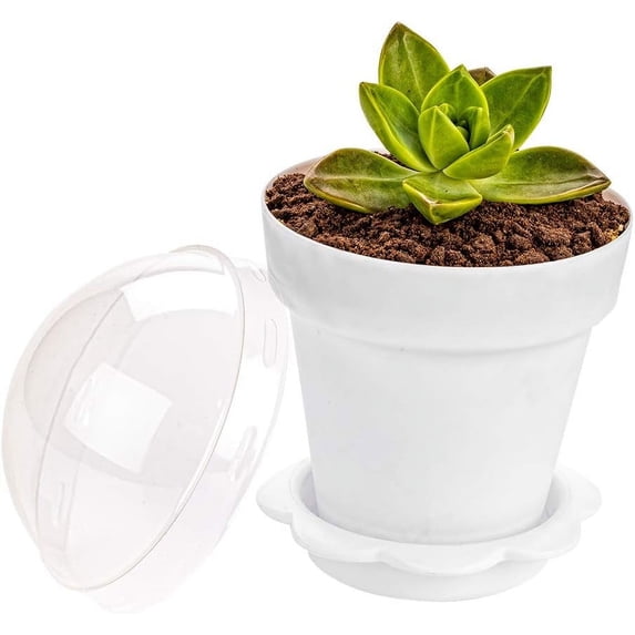Cupcake Flower Pots Disposable Dessert Flower Pots - Lids Included With ...